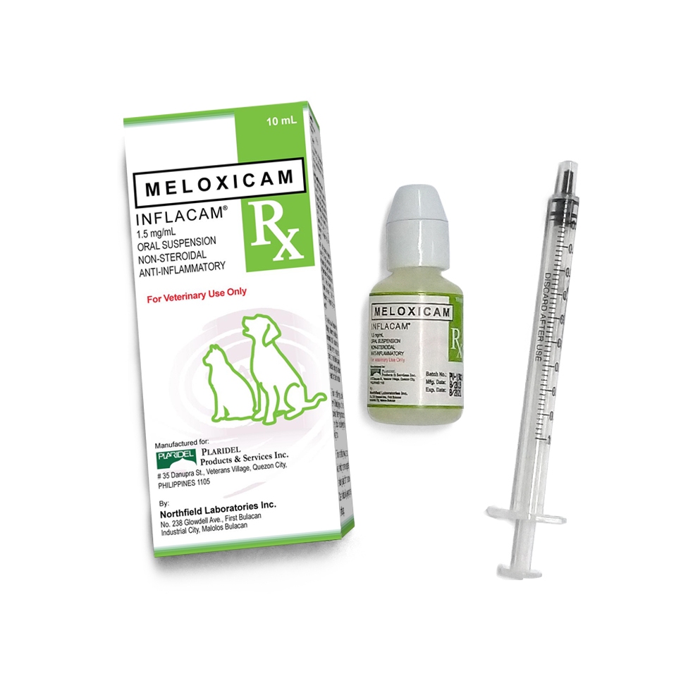 Meloxicam INFLACAM Anti Inflammatory 10ml | Shopee Philippines