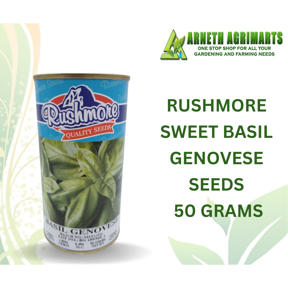 ARNETH RUSHMORE BASIL GENOVESE SEEDS ( 50 GRAMS CAN ) | Shopee Philippines
