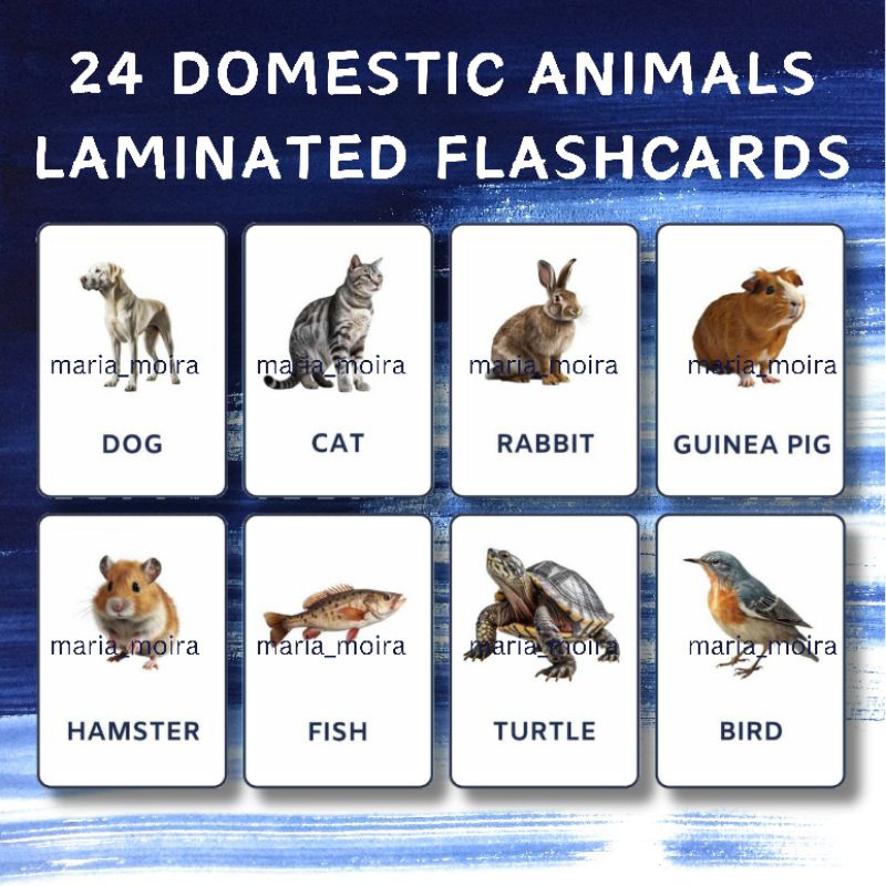 24 PCS • Laminated Real Pictures of DOMESTIC ANIMALS Flashcards for ...