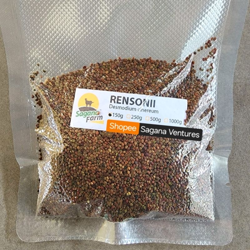 Rensonii Seeds 150 grams (Desmodium cinereum) Livestock Forage and ...