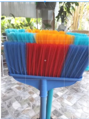 Plastic Handle Whisk Broom ( Walis Tambo) | Shopee Philippines