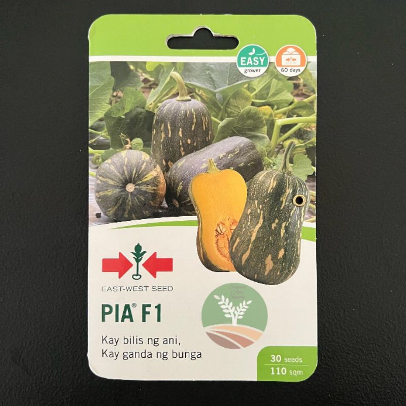 PIA F1 PUMPKIN SEEDS EAST WEST HYBRID SQUASH KALABASA VEGETABLE SEEDS ...