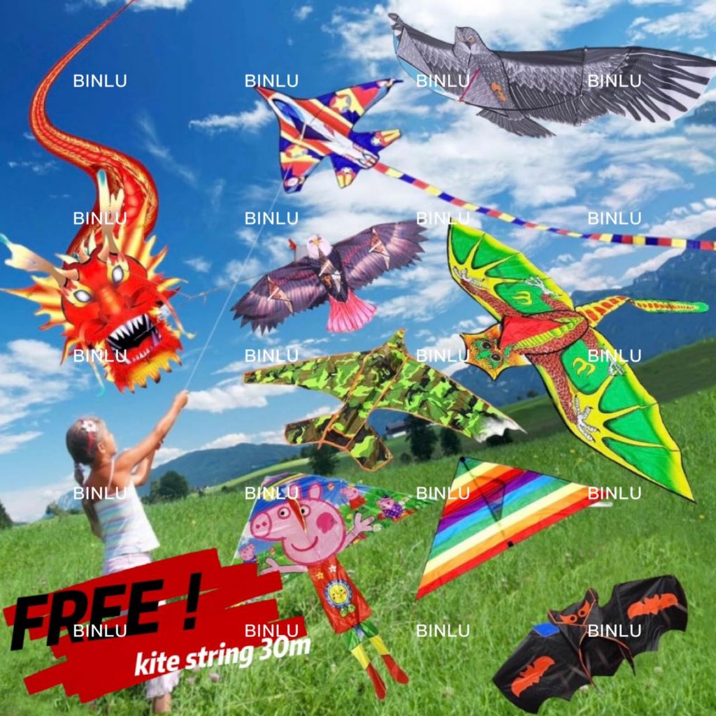 Shop kite for Sale on Shopee Philippines