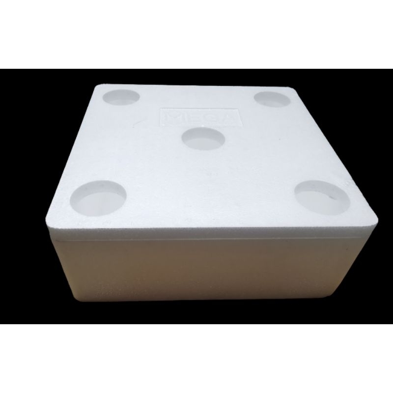 HALF KATANIM BOX HYDROPONICS BOX 5 HOELS | Shopee Philippines