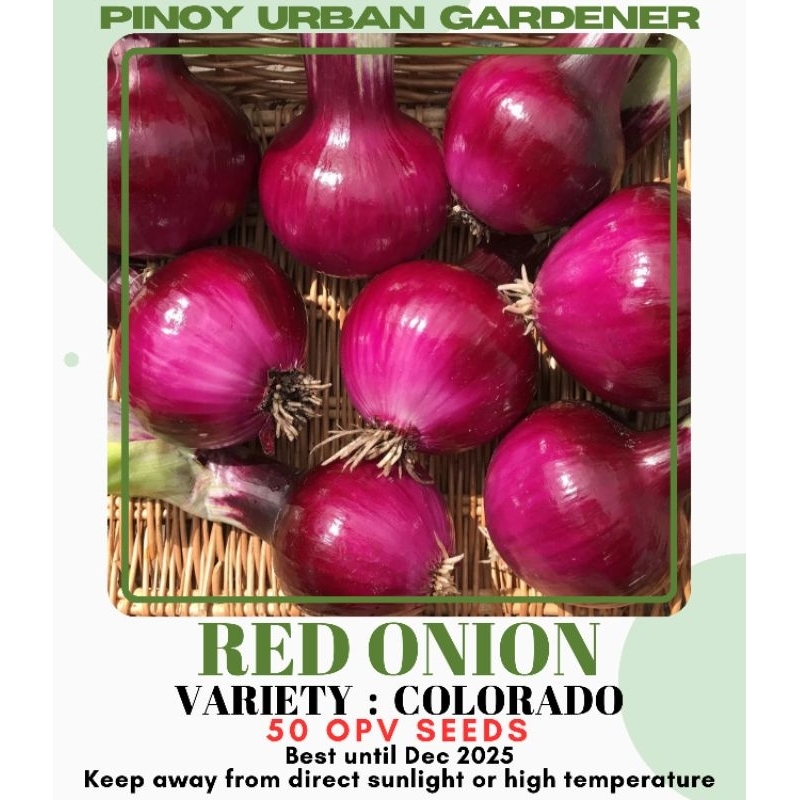 Vegetable Seeds Pechay Kamatis Sili Talong Ampalaya kangkong Okra Sitaw ...