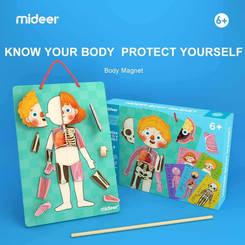 Mideer Kids Human Body Magnet Educational | Shopee Philippines