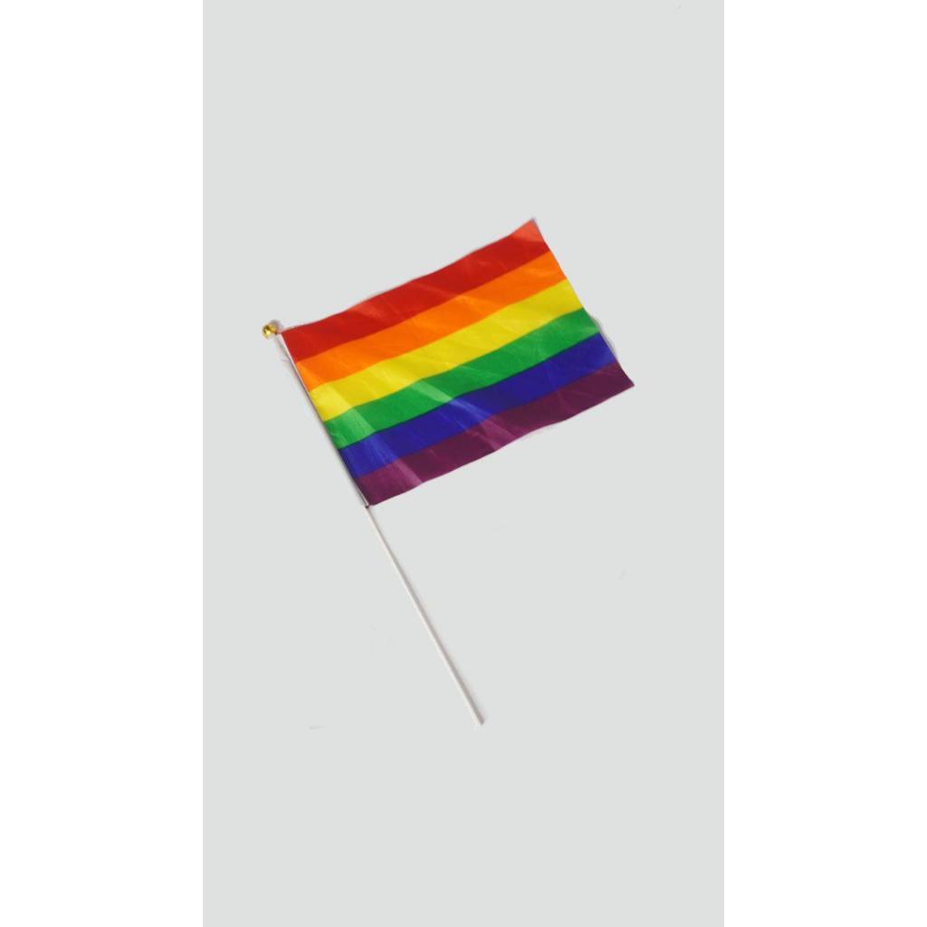 Lgbt Small Pride Flag Rainbow Handheld Waving Rainbow Pride Flag