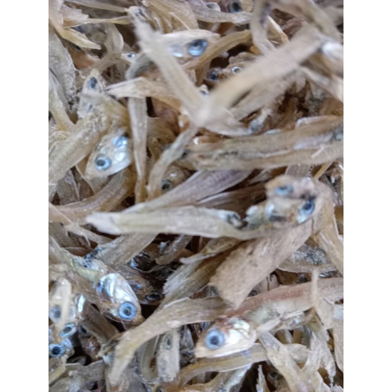 Dried fish Dilis Puti small size from Bicol vacuum pack | Shopee ...