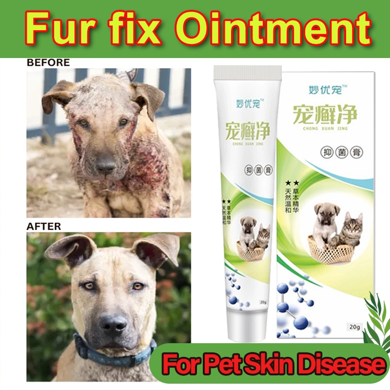 Ointment For Dog Anti Fungal For Dogs Healing Cream Gamot Sa Galis Ng ...