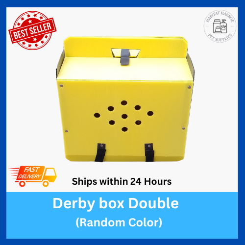Derby box/collapsible double cock box / Random color / carrier/travel ...