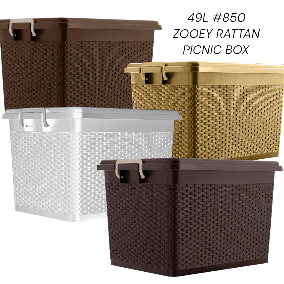 STORAGE BOX 49L [850] RATTAN STORAGE Zooey Rattan Picnic Box Storage Box(RANDOM COLOR) | Shopee ...