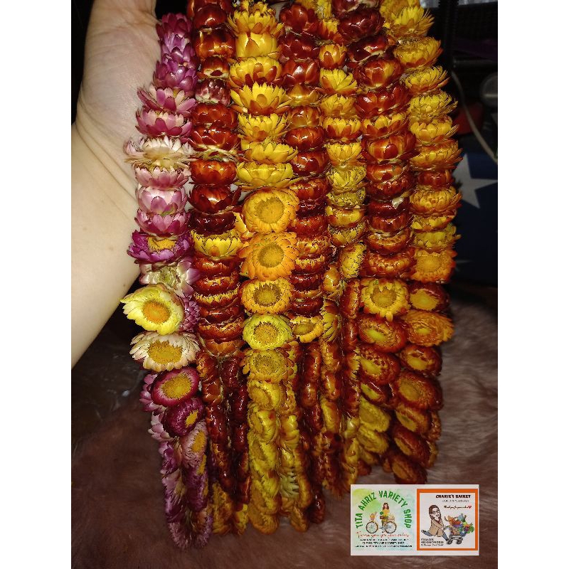 BAGUIO CITY DRIED EVERLASTING GARLAND | Shopee Philippines