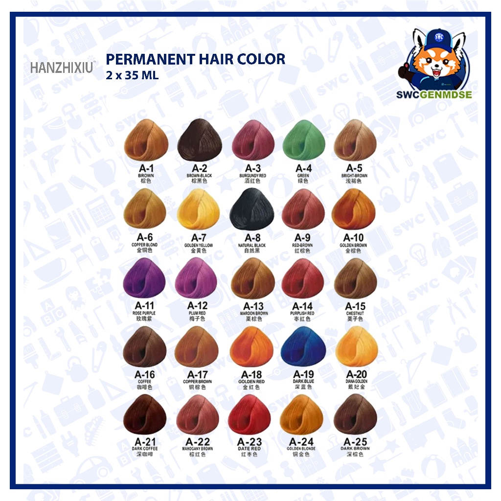 HANZHIXIU PLUS Permanent Hair Color | Fade-Resistant Conditioning ...