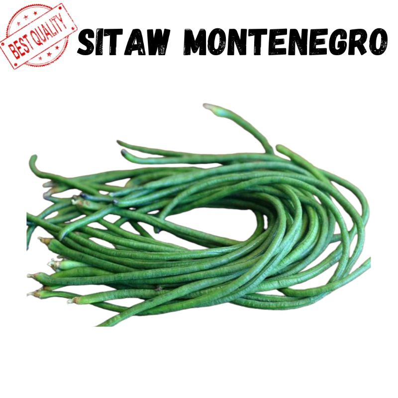 Pole Sitaw Seeds HYBRID - 10 pcs Seeds (1pack) | Shopee Philippines