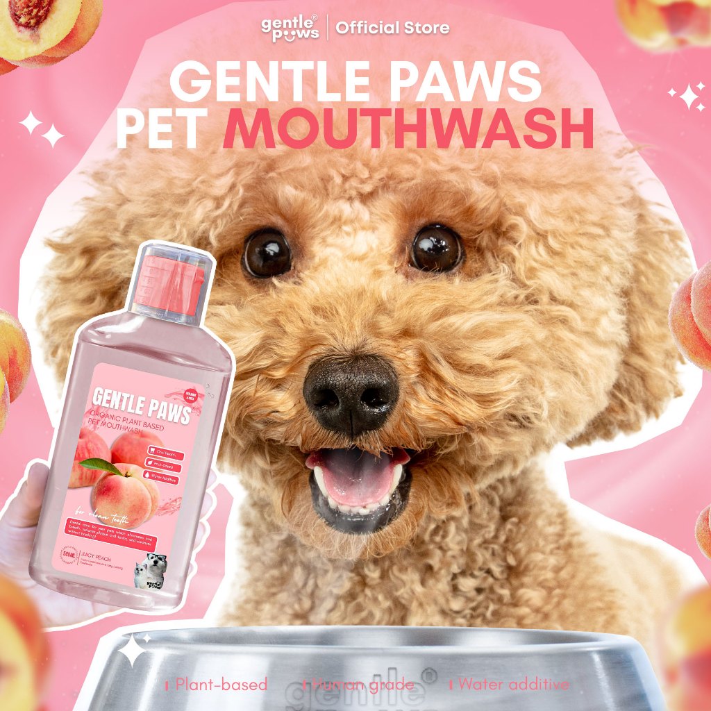 Gentle Paws Pet Mouthwas Dog Dental Care for Dogs - Suitable for All ...