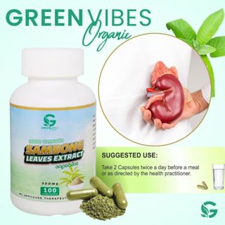 Sambong Capsule for UTI Support, Healthy Gall Bladder, Kidney Cleanse ...