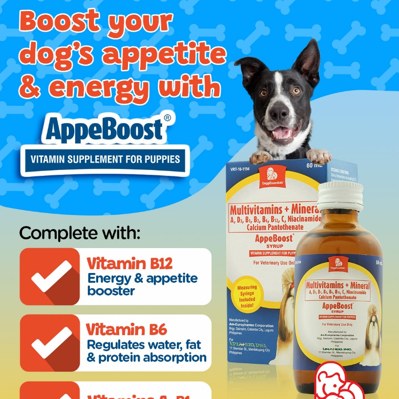 APPEBOOST Appertite Booster | Shopee Philippines