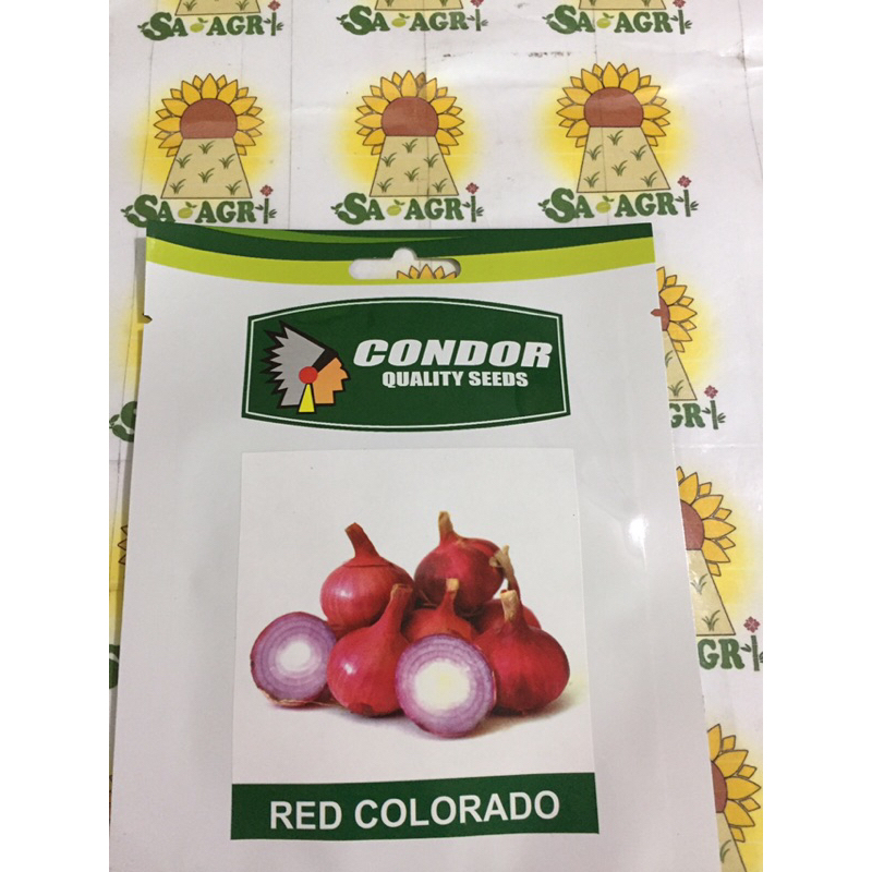 Red Colorado Onion Seeds (5g) | Shopee Philippines