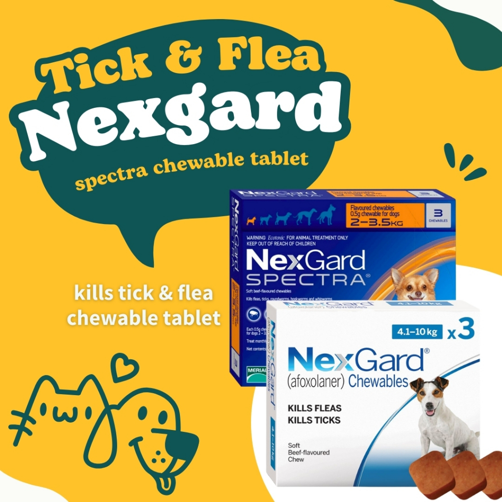 Nexgard Afloxaner and Nexgard Spectra Chewable 1Tablet Anti Ticks ...