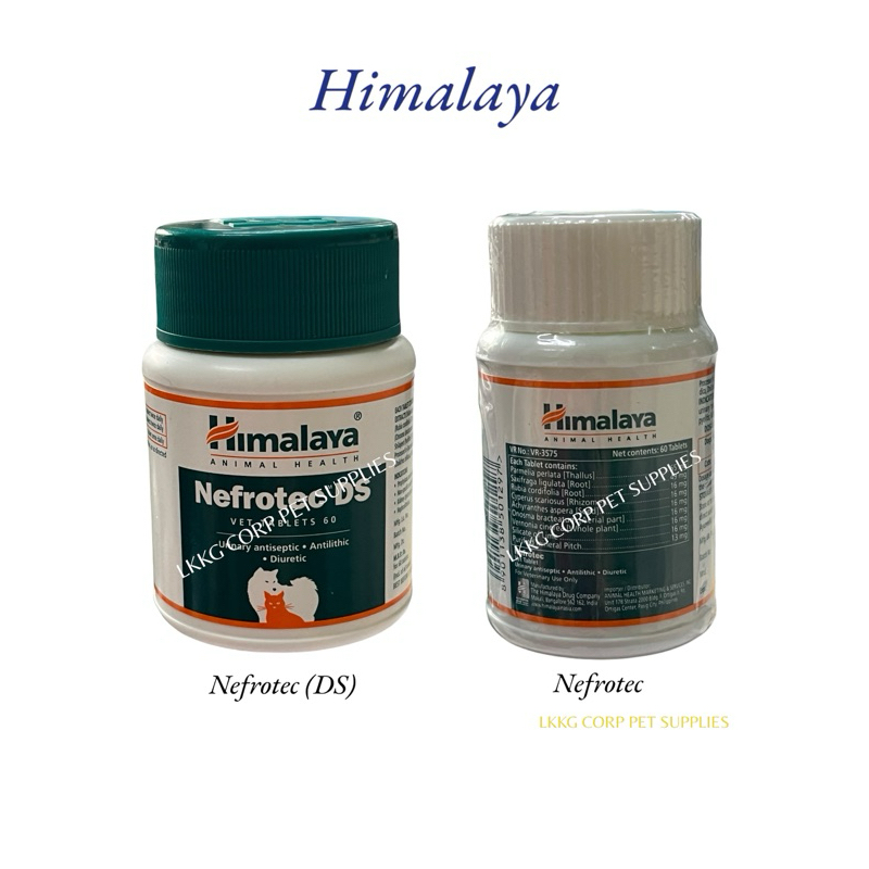 Nefrotec Dual Strength DS 60 Tablets | Shopee Philippines