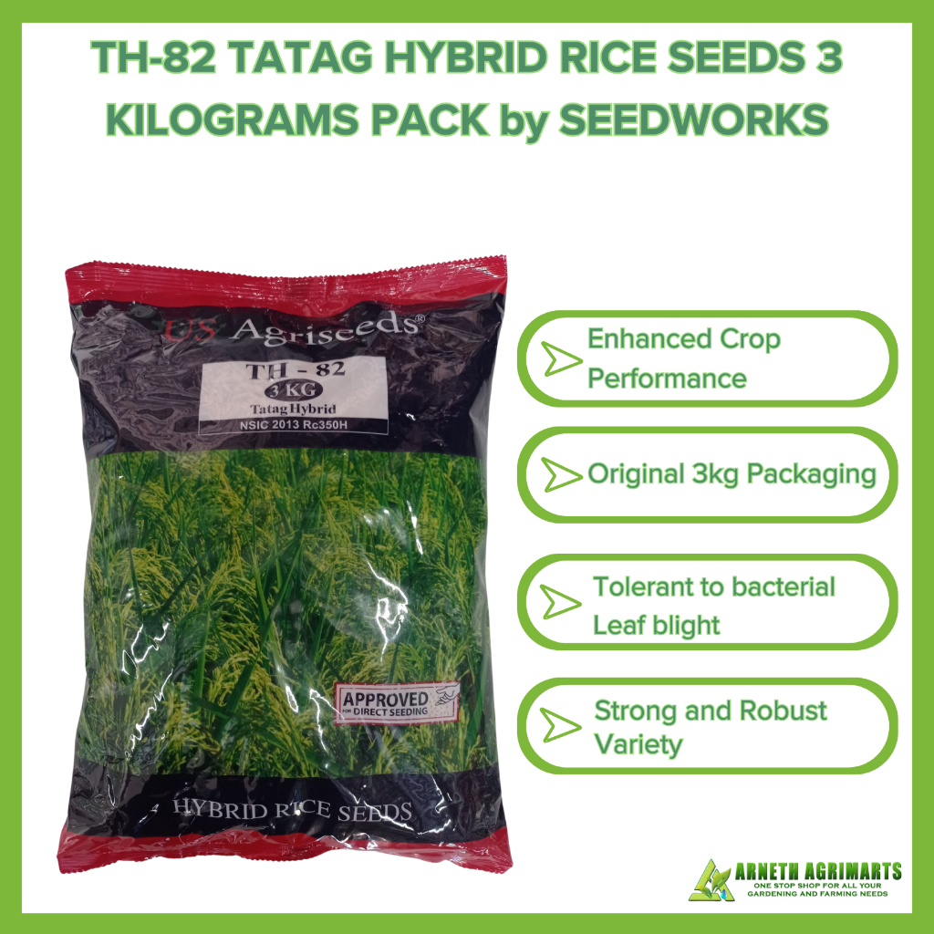 ARNETH TH-82 HYBRID RICE SEEDS 3 KILOGRAMS PACK by SEEDWORKS | Shopee ...