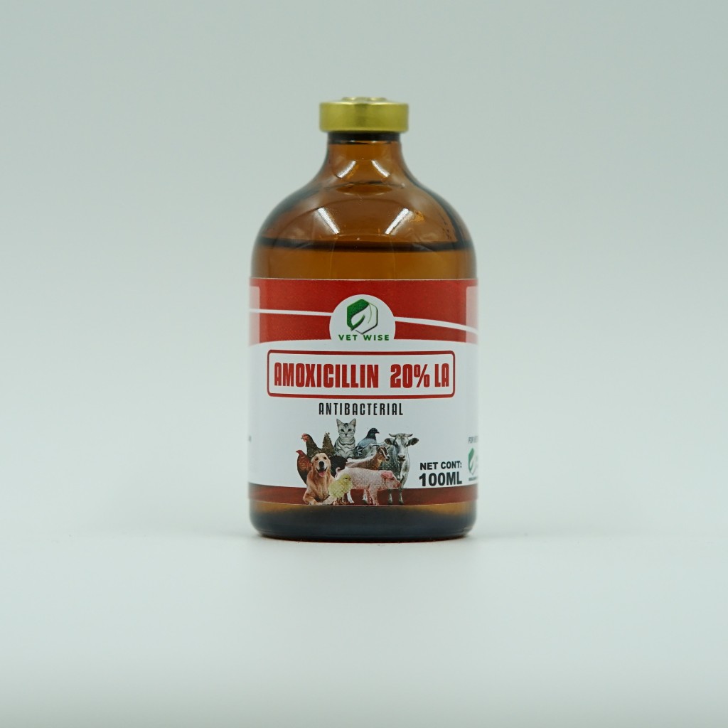 Iron Dextran 20% (100ML) | Shopee Philippines