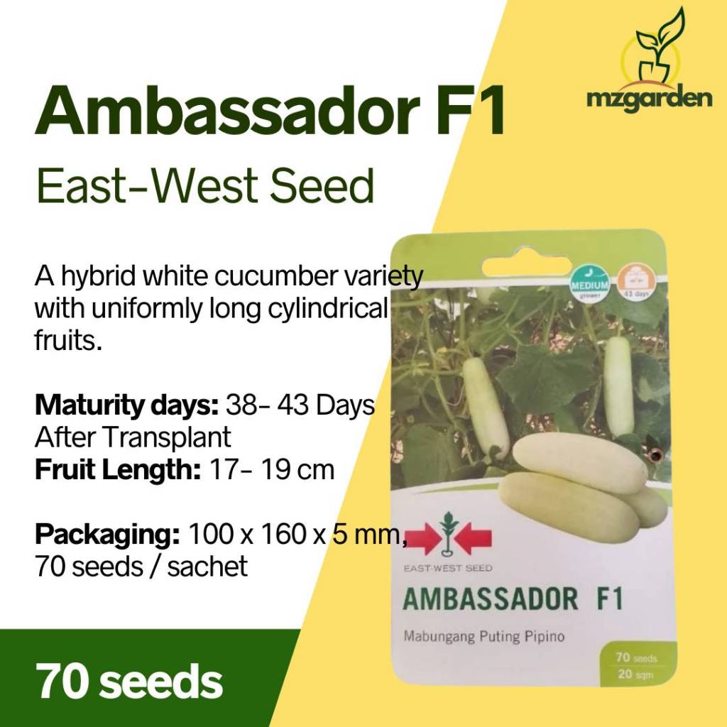 East-West Seed Ambassador F1 (Pipino/Cucumber) 70 seeds | Shopee ...