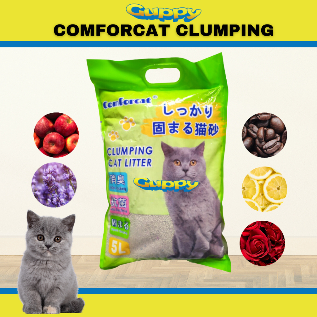 Comforcat Clumping Cat Litter Flavored 5 Liters 10 Liters 100% Bentonite Prevents Bacterial ...