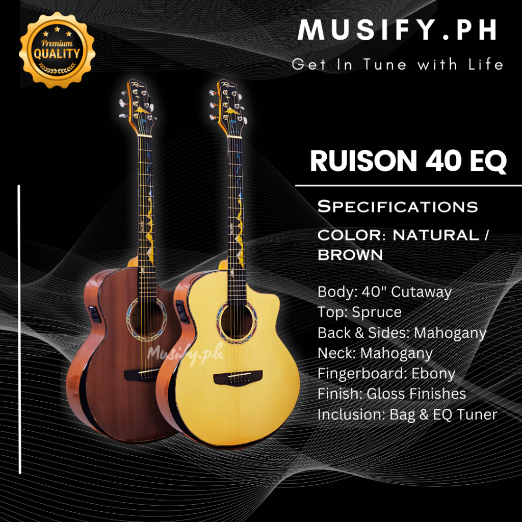 Ruison Model R40 EQ Premium Acoustic Guitar Setup Included With ...