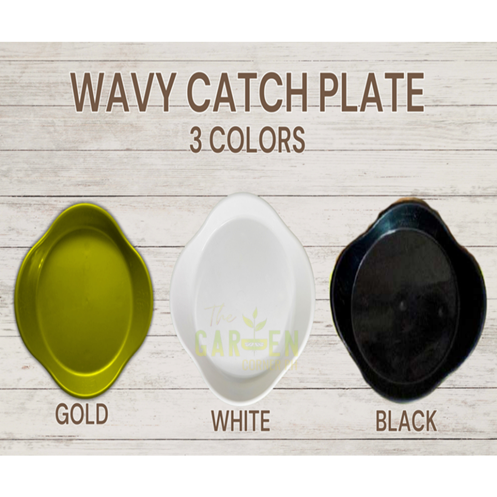 GOLD Wavy Catch Plate (Yayamanin Pearl Wave Catch Plate) Best for ...