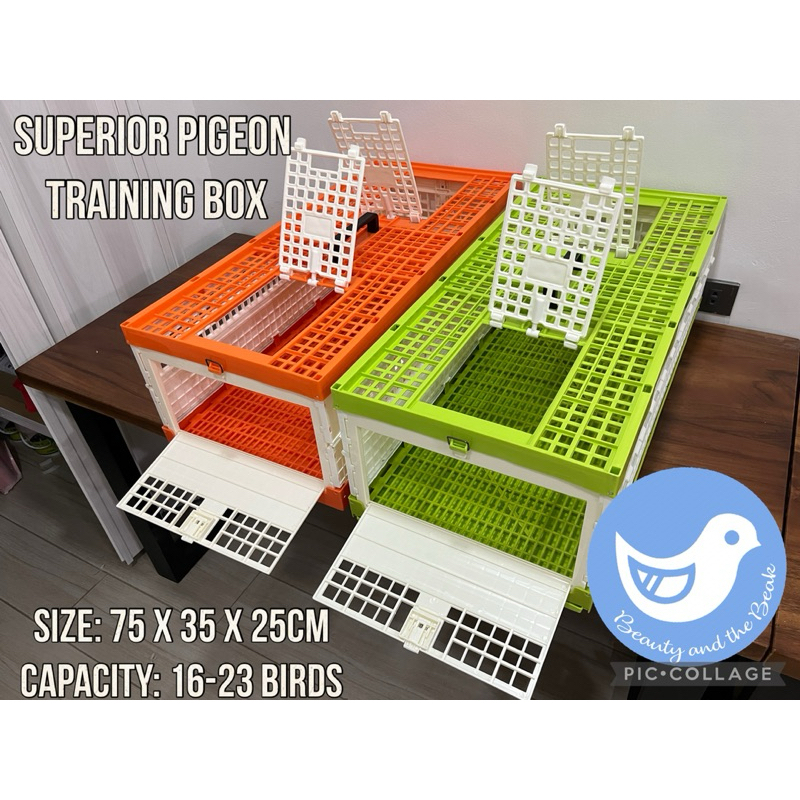 Tbox Academy S/M Taiwan Pigeon Foldable Training Box Tbox Cage Plastic
