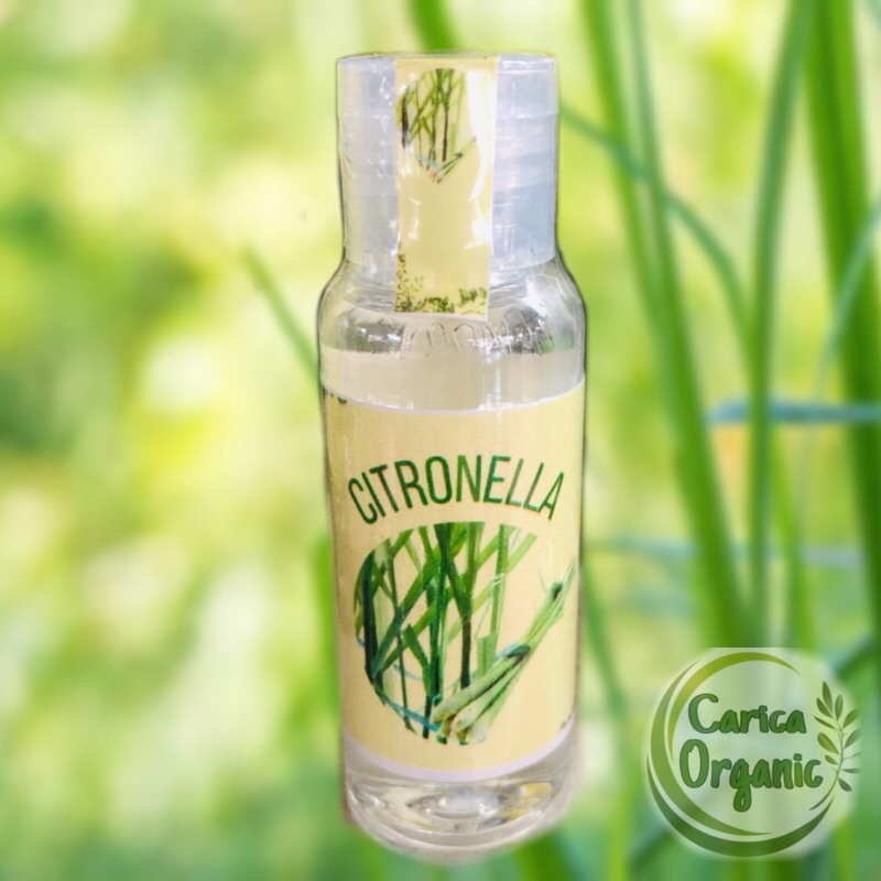 Citronella Oil - 50ml | Shopee Philippines