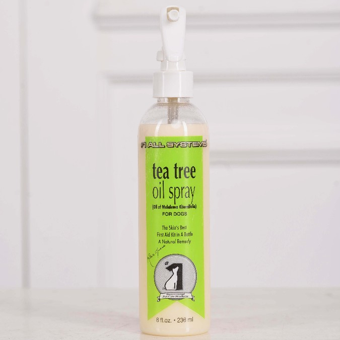All Systems Tea Tree Oil Spray | Shopee Philippines