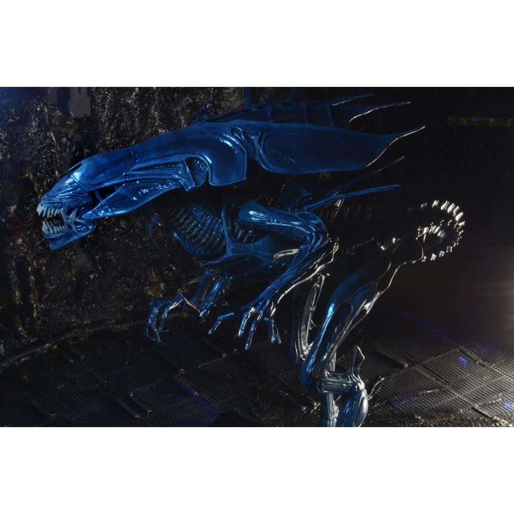 NECA Aliens Xenomorph Queen Deluxe Action Figure Sealed Brand New (Box ...