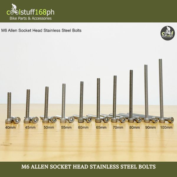 CS168ph M6 Allen Socket Cap Stainless Steel Bolts Grade 304 1PC ...
