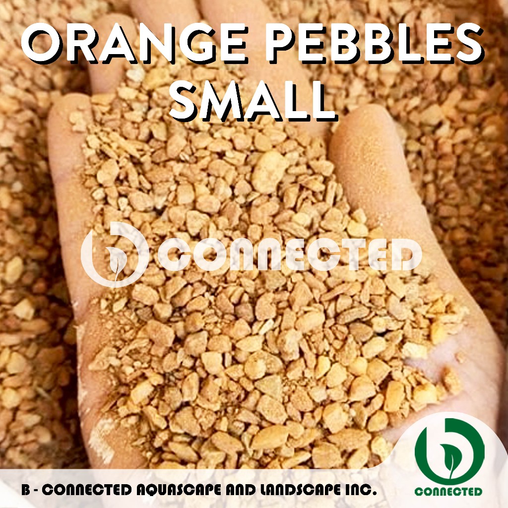 ORANGE PEBBLES STONE ROCK (SMALL) BY B-CONNECTED - INTERIOR / GARDEN ...