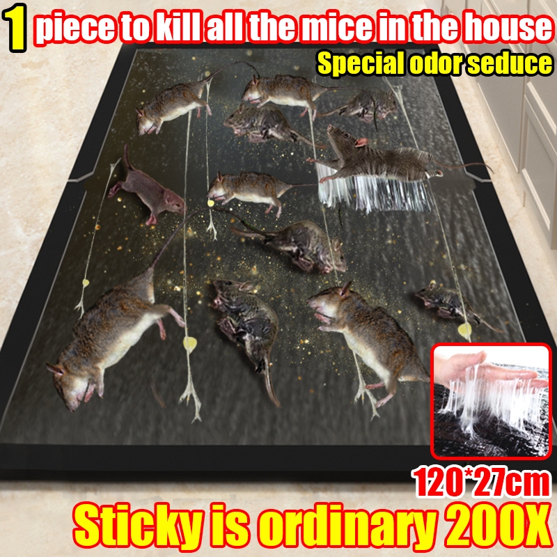 Catch 50 big mice Mouse Sticky mouse trap Sticky is ordinary200x mouse ...