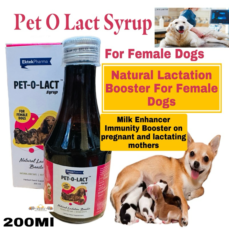 EkTek Pharma Pet O Lact Syrup Lactation Booster | Shopee Philippines