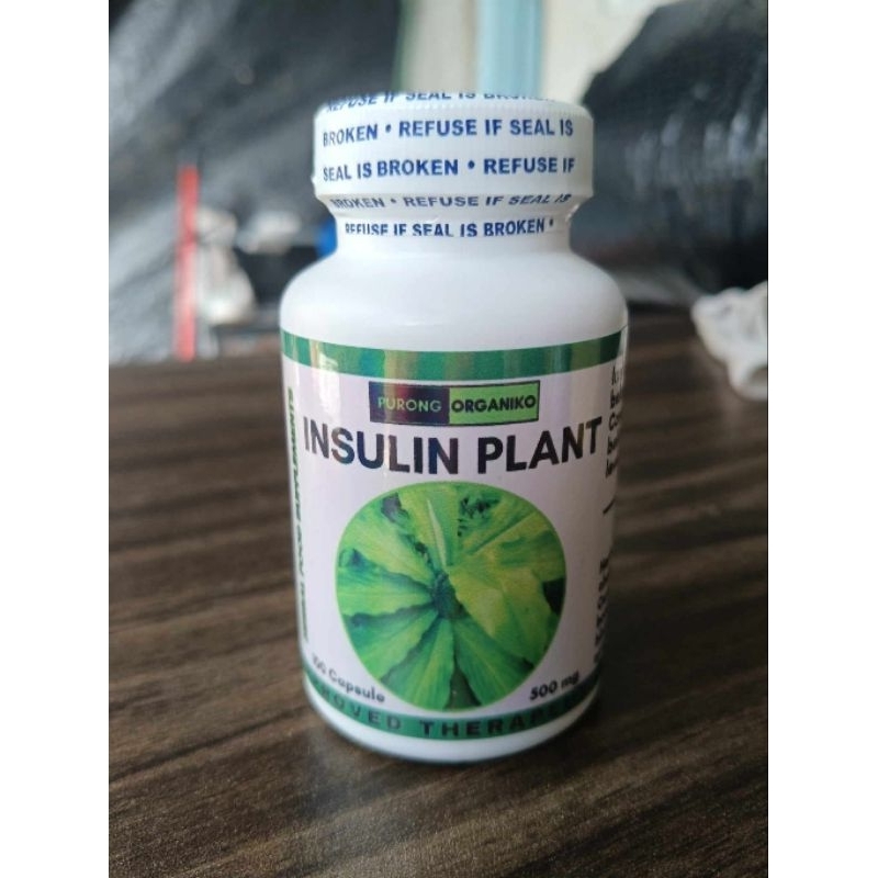 PURE INSULIN PLANT CAPSULES (100 CAPSULES) ANTI DIABETES | Shopee ...
