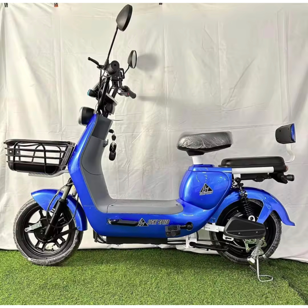 500 WATTS ELECTRIC BIKE E-BIKE 48V20AH UPTO 70KM RANGE UPTO 45KPH ...