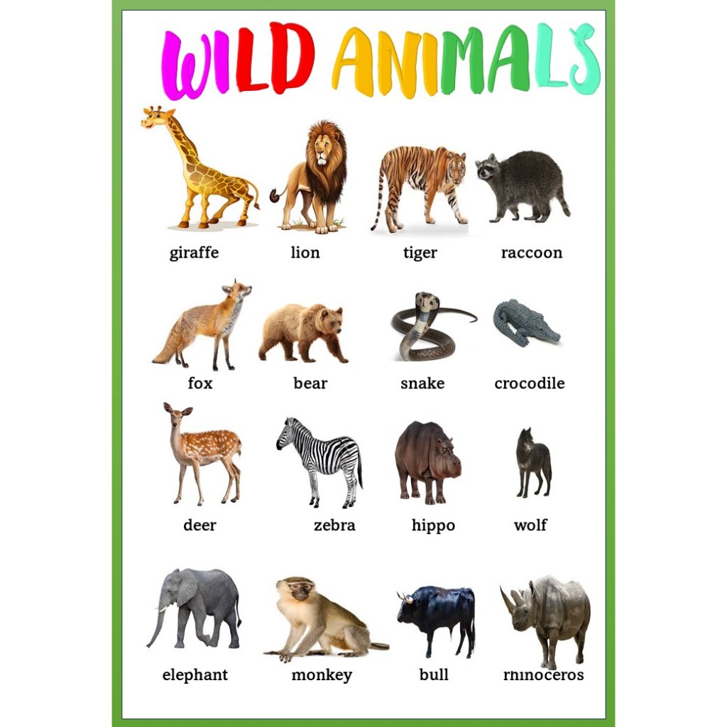 Laminated Charts "Animals" educational charts | Shopee Philippines