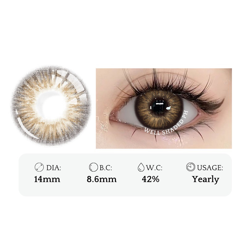 OMG BROWN CONTACT LENS NO GRADE (with lens case only) | Shopee Philippines