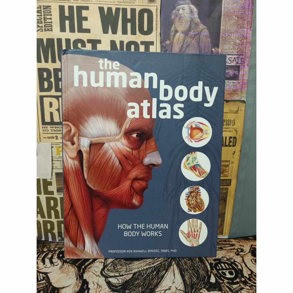 (Hardcover) Atlas of the Human Body: How the Human Body Works by Ken ...