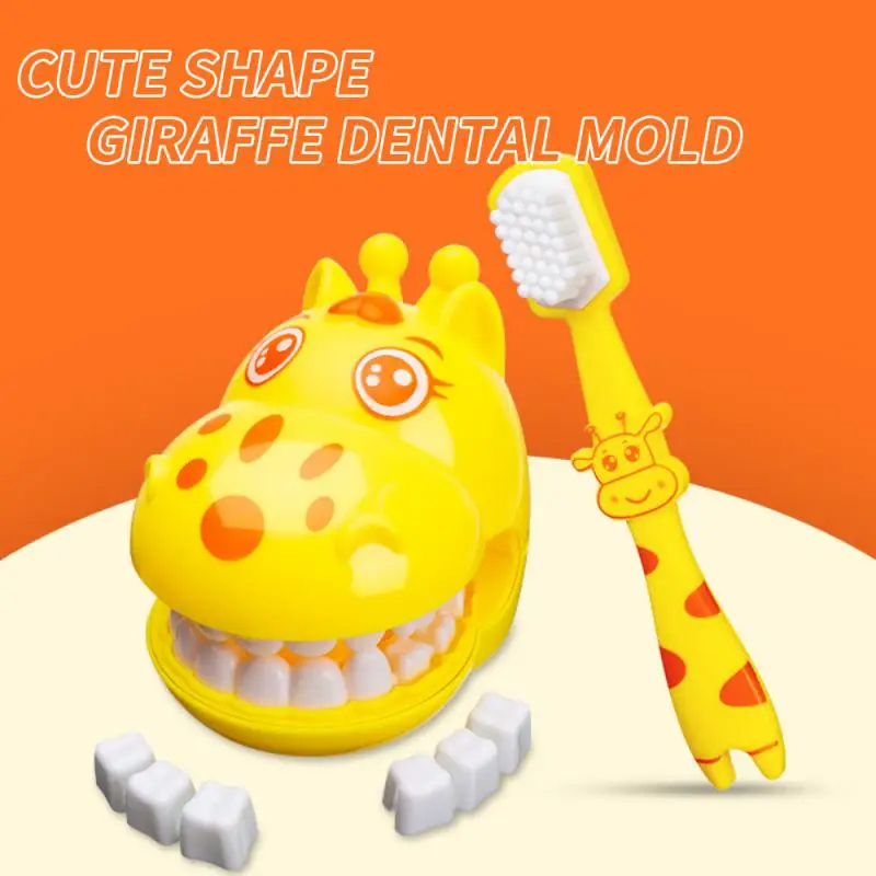Teeth Brush Teaching Model Kids Demo Dental Children Early Education ...
