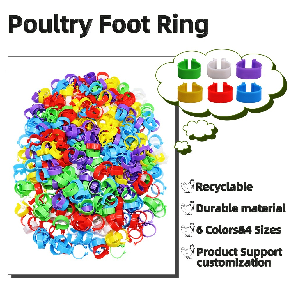 10Pcs Chicken foot rings Poultry leg band for gamefowl chicken chicks ...