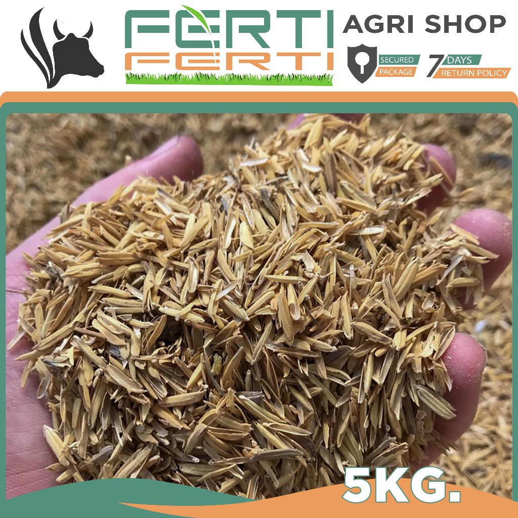 5kg Fresh Rice Hull Ipa from Southern Leyte | Shopee Philippines