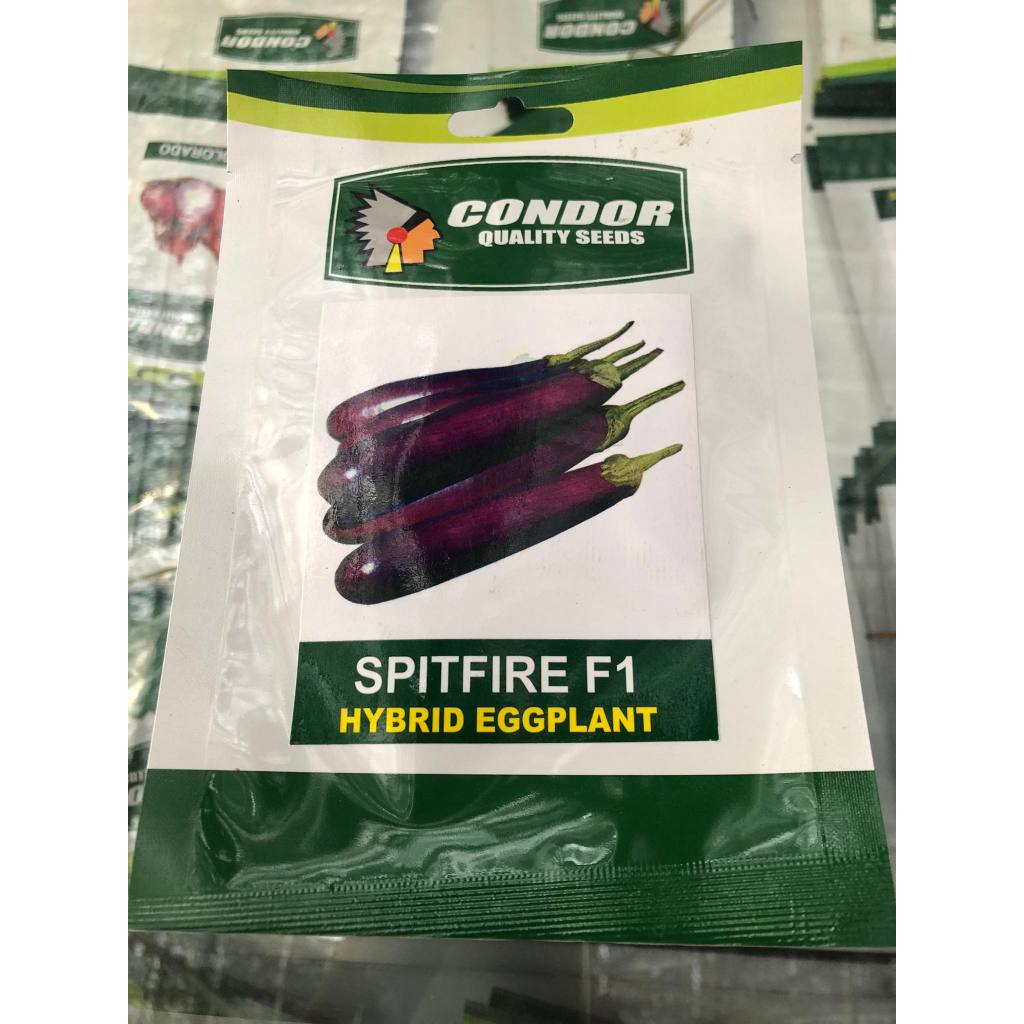 Condor Seeds Collection | Shopee Philippines