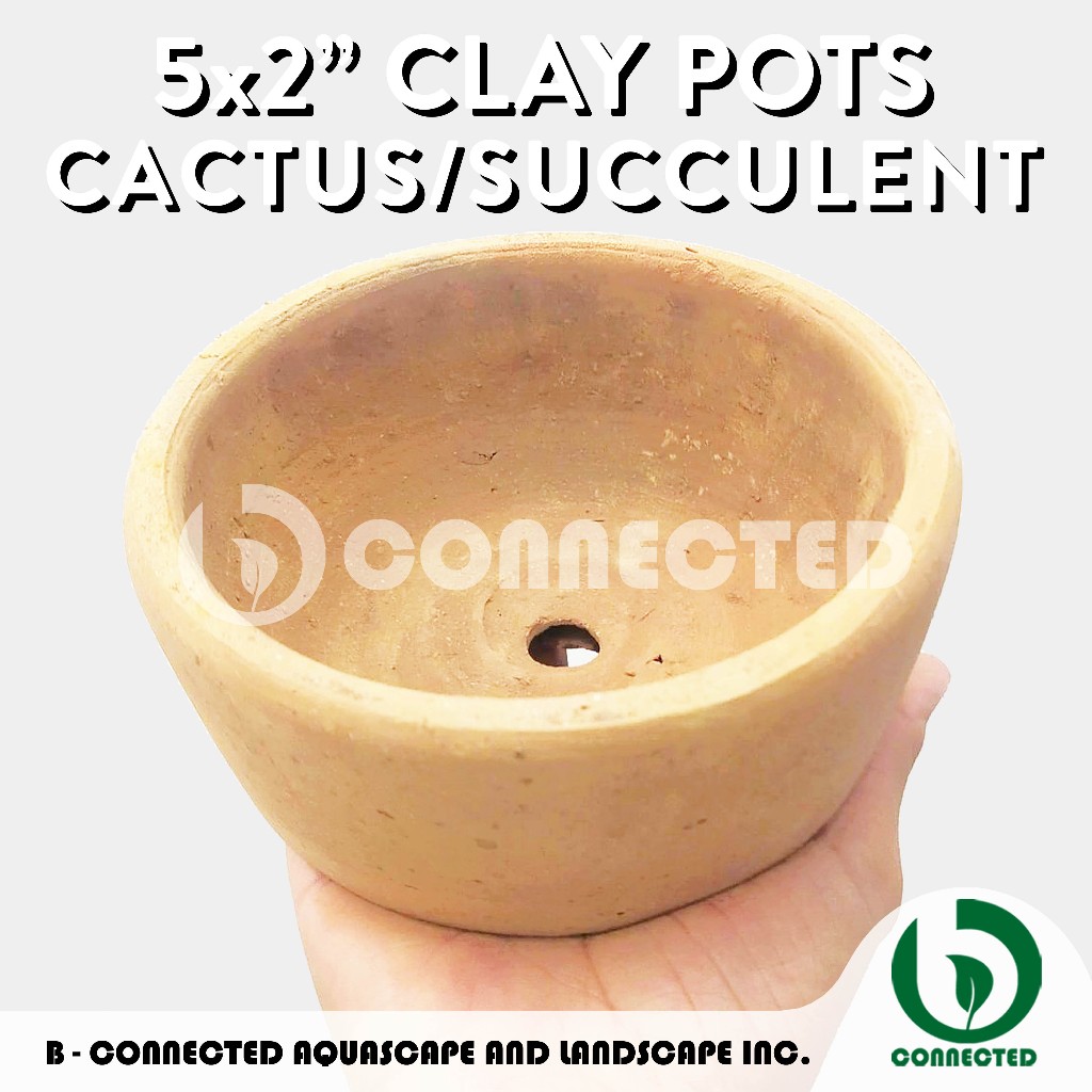 5x2 QUALITY HANDMADE POT RAW FINISH FOR SUCCULENTS CACTUS - POTS BY ...