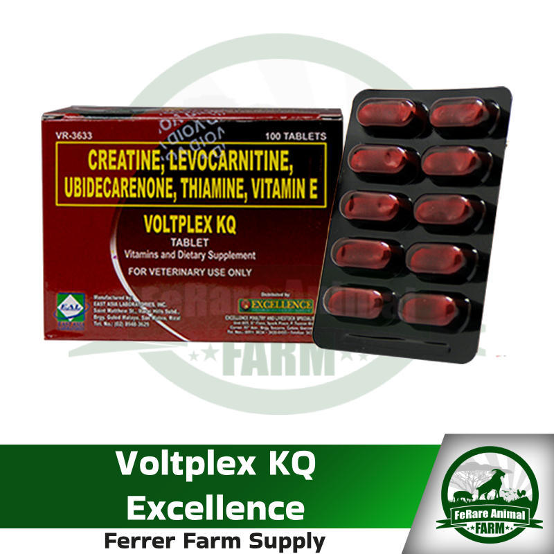 Voltplex KQ Tablet Excellence (Sold per Tablet) | Shopee Philippines