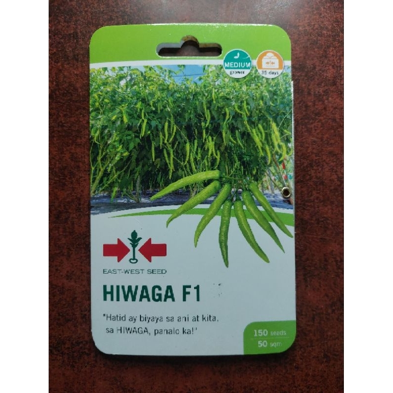 HIWAGA F1 (150 SEEDS) HYBRID GREEN PEPPER / SILI PANIGANG BY EAST WEST ...